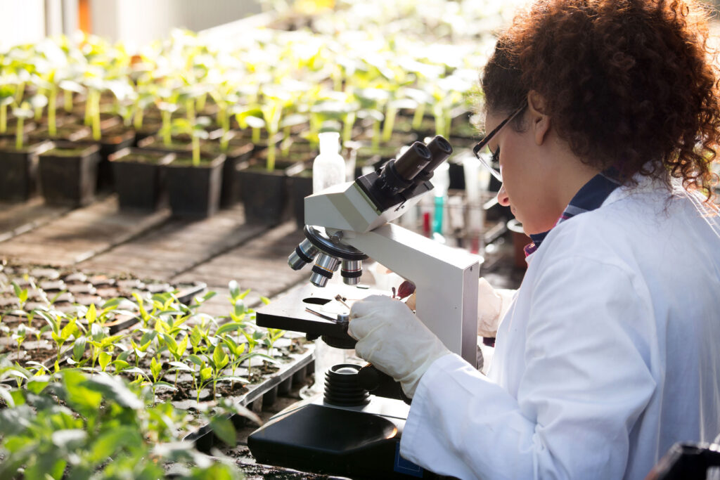 Chemical - Imperative Logistics